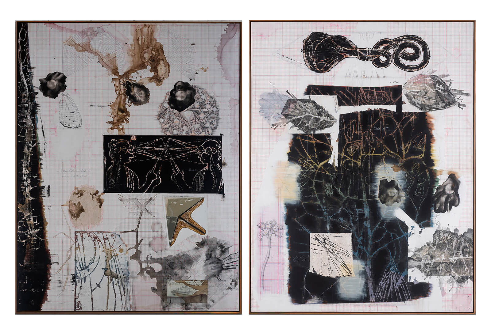 Palindrome/Anagram Paintings - Jitish Kallat