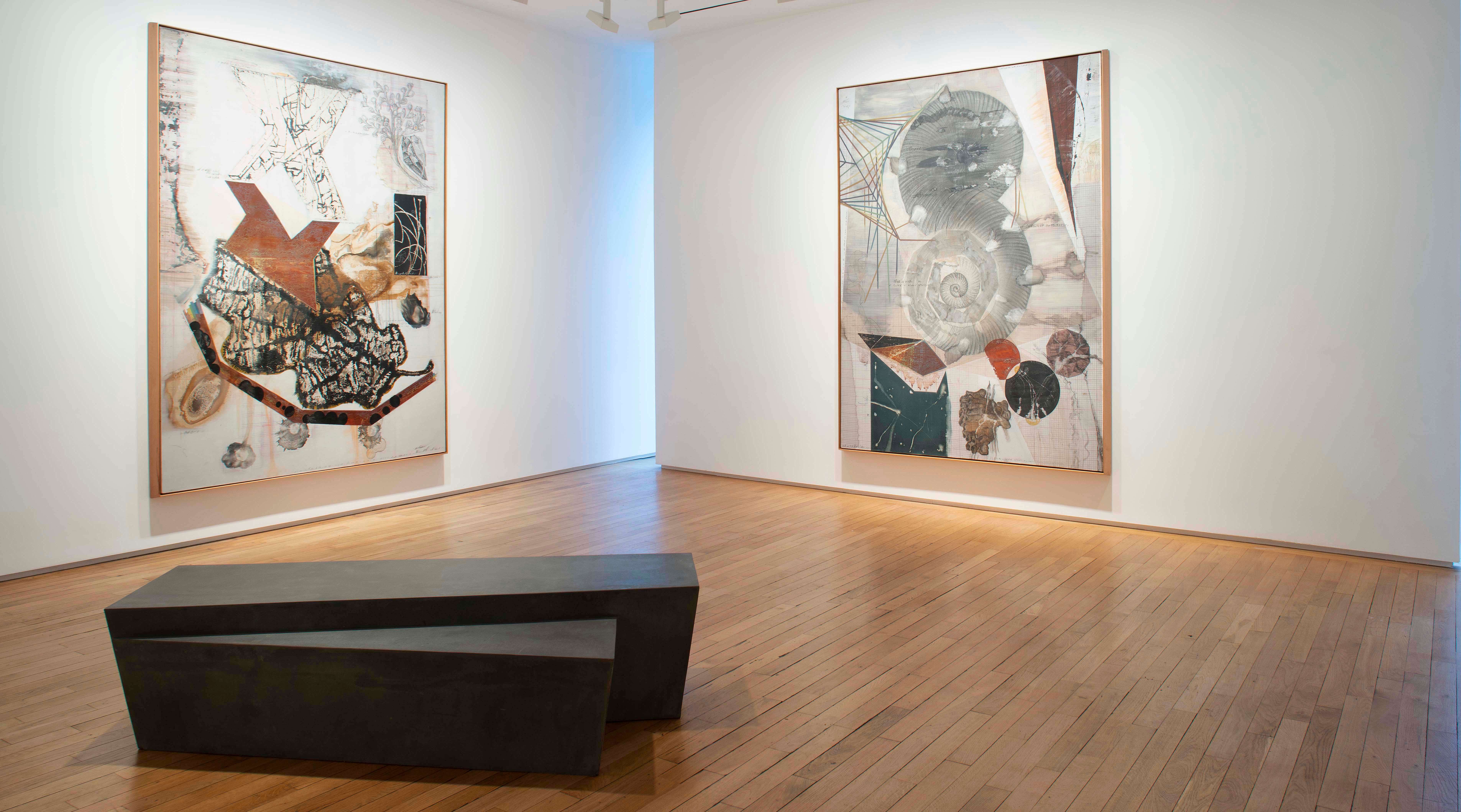 Palindrome/Anagram Paintings - Jitish Kallat