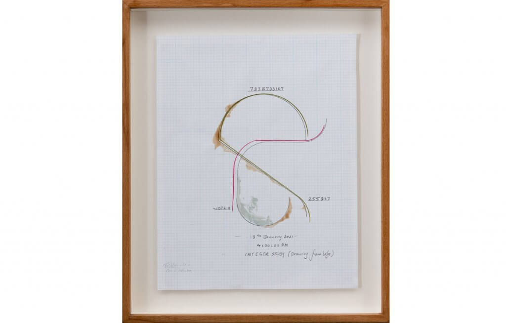 Integer Study (drawing from life) - Jitish Kallat